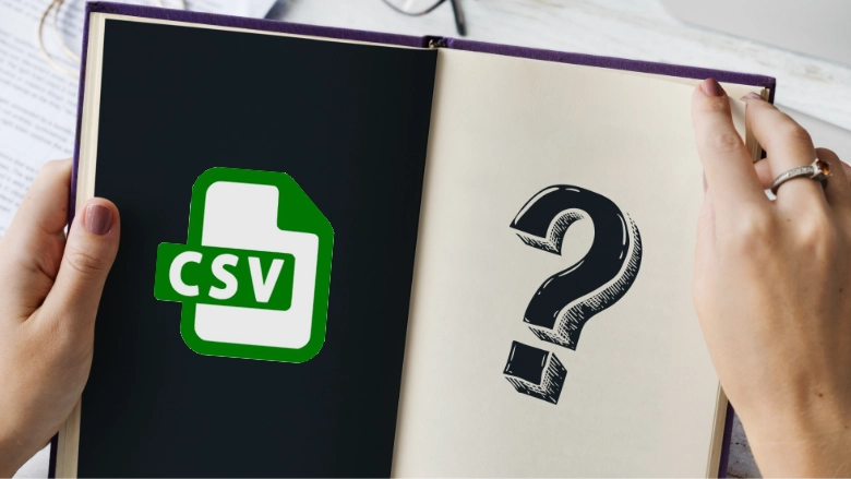 What Is CSV Format? | Adcore Blog